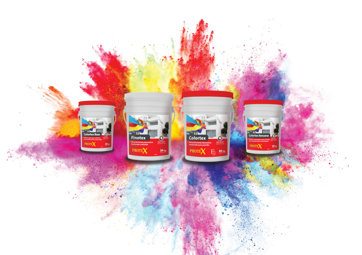 ProtexBolivia – El Cambio En La Construcción